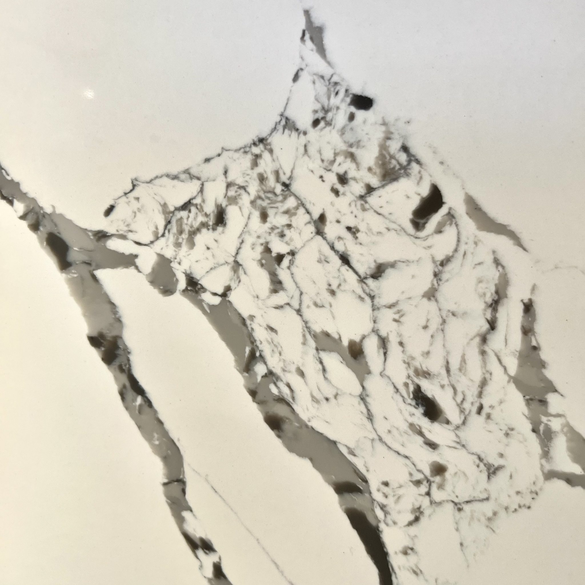 Calacatta Splendor - Stone Depot