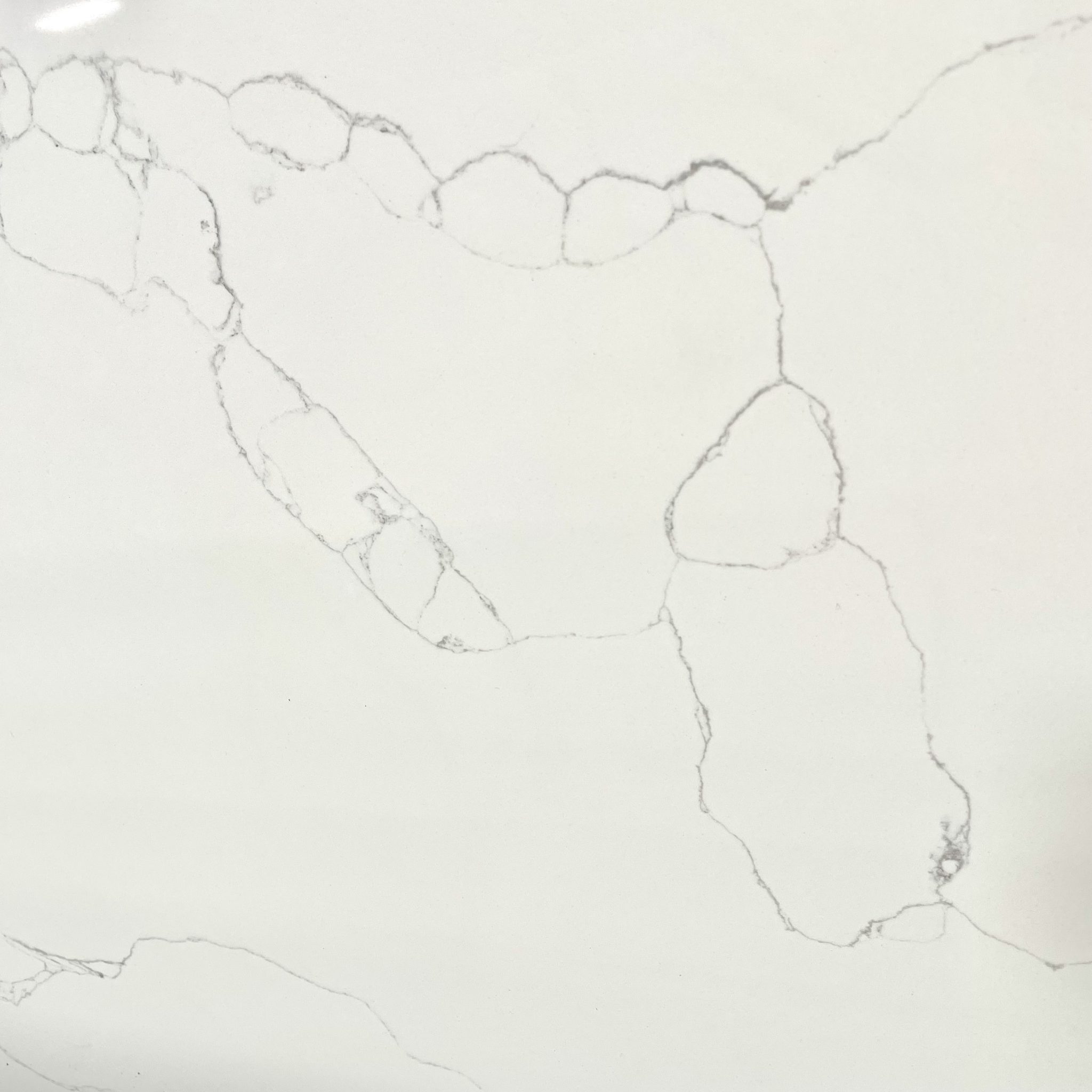 Calacatta Storm - Stone Depot