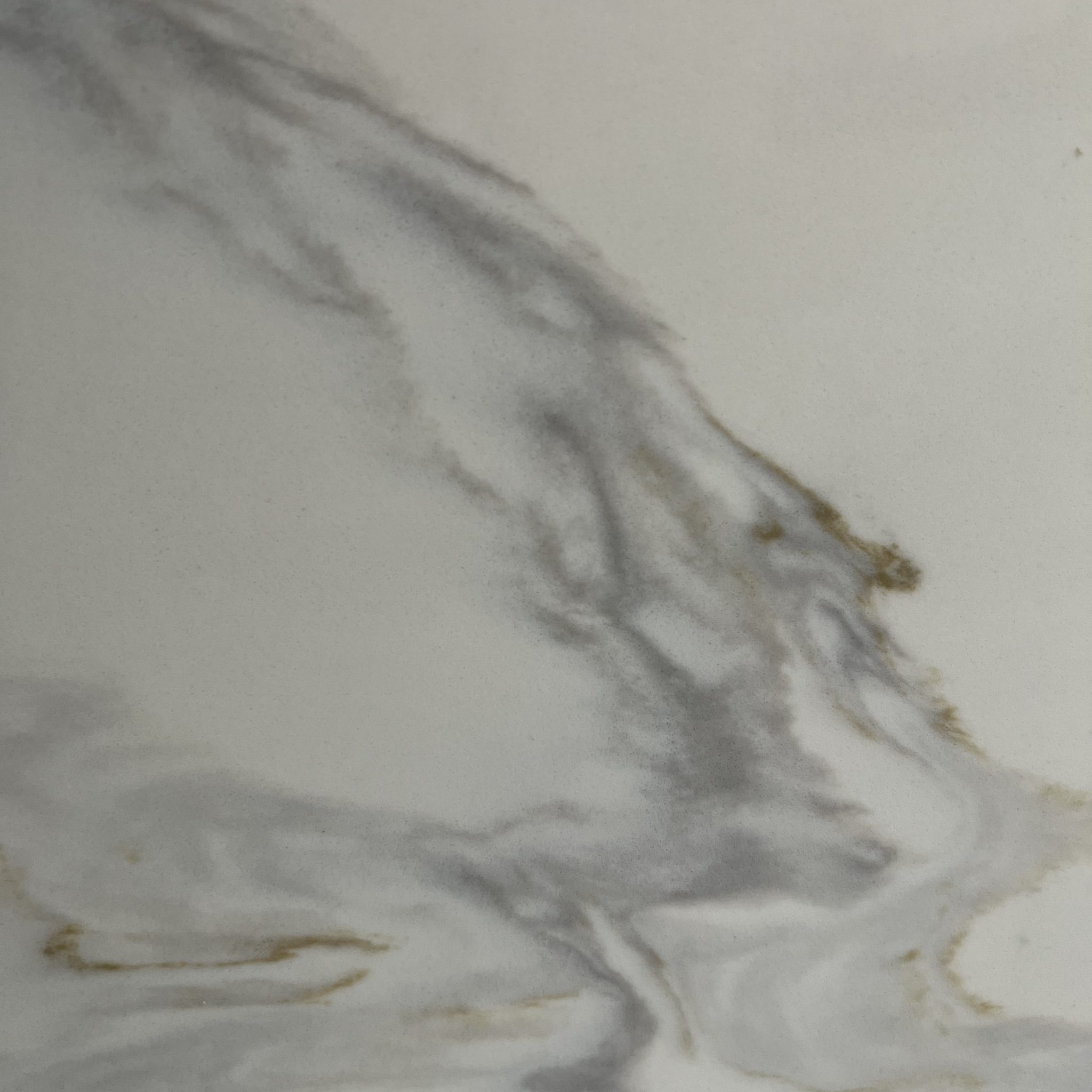 Calacatta Turin - Stone Depot